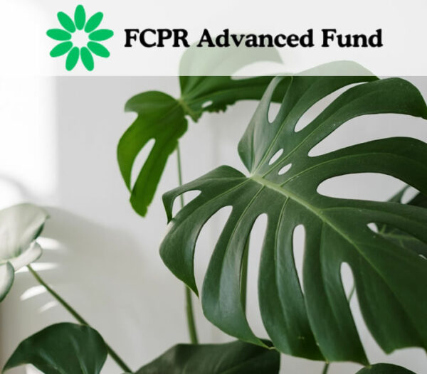 Our Managed Funds - GMP Capital